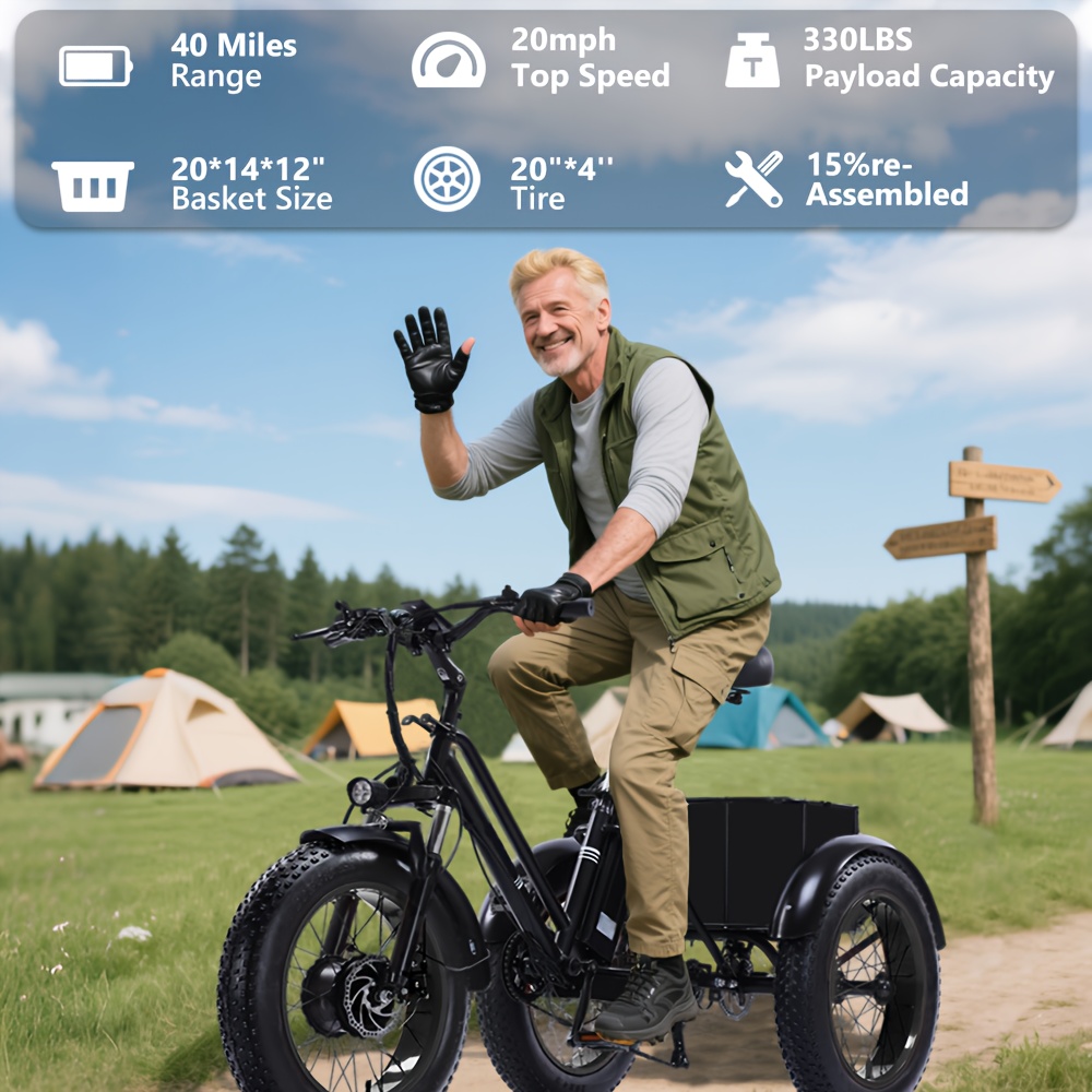 electric adult tricycle sold on Temu United States