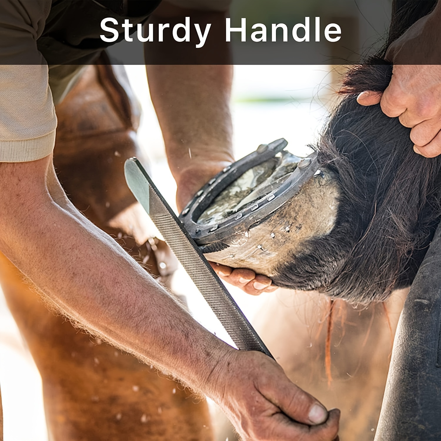 Goat Hoof Trimming Set Mini Hoof File Metal Manual - Temu