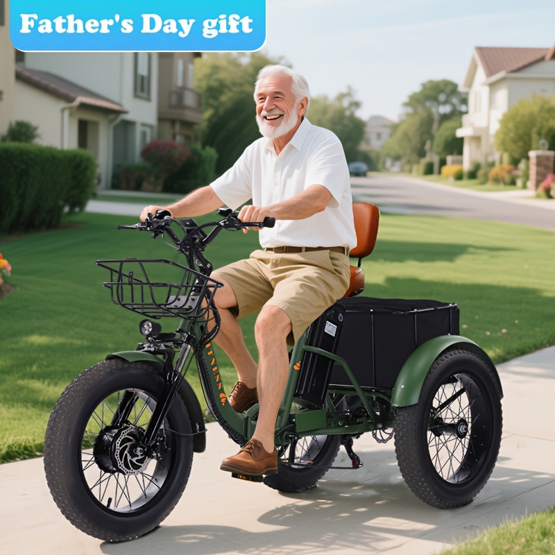 electric adult tricycle sold on Temu United States