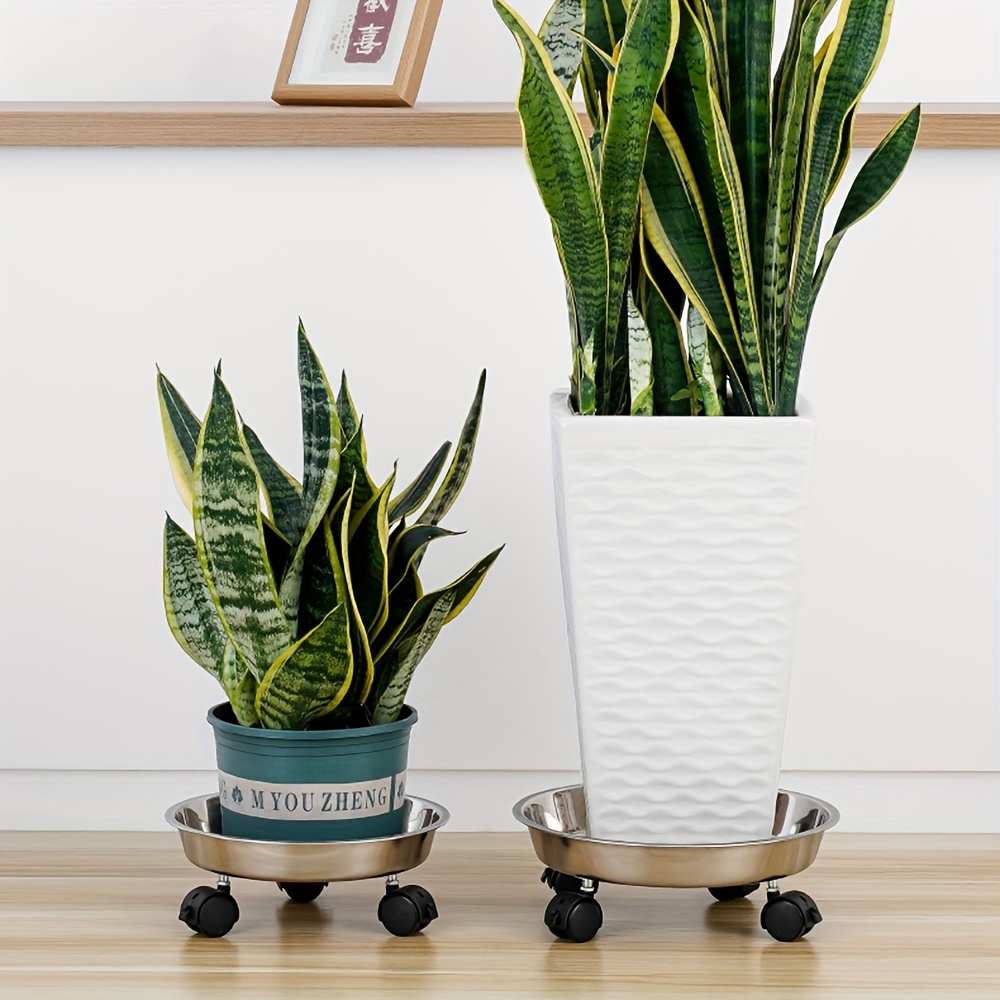 Modern Stainless Steel Rolling Plant Stand Swivel Wheels - Temu Australia