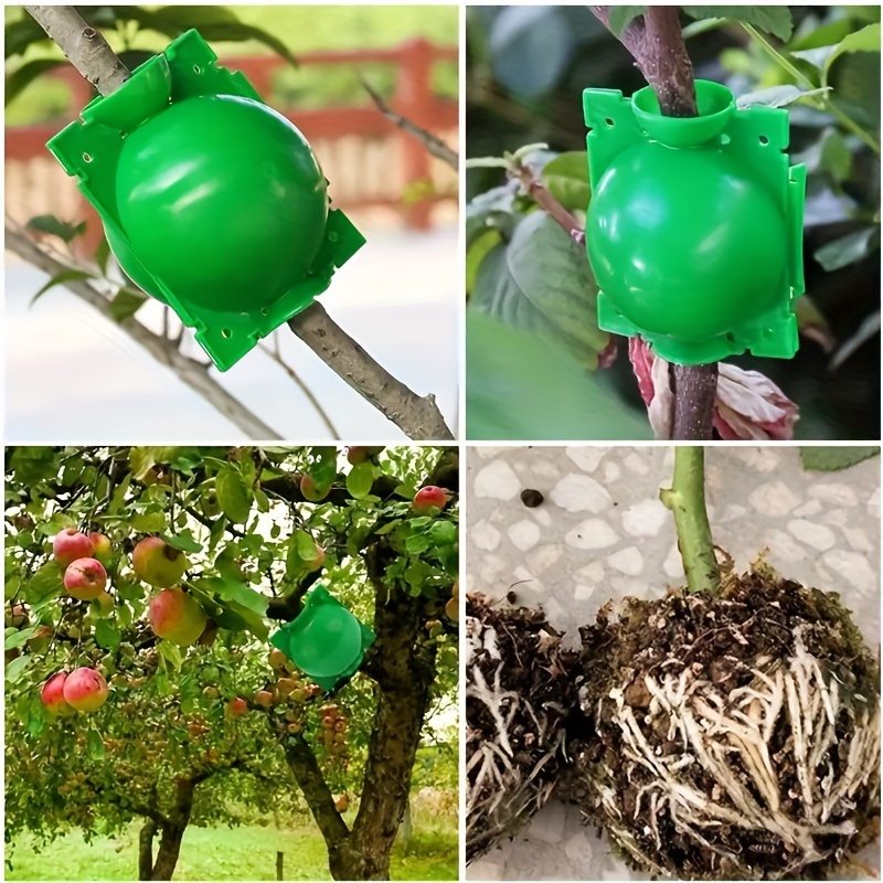 10pcs Tree Root Planting Box, Rooting Ball Transplant Tool, Plant Root ...