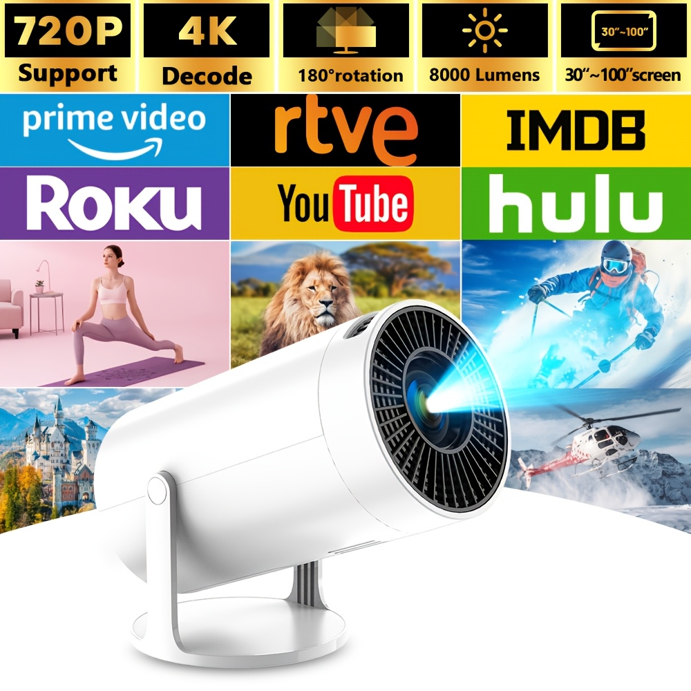projector sold on Temu United States
