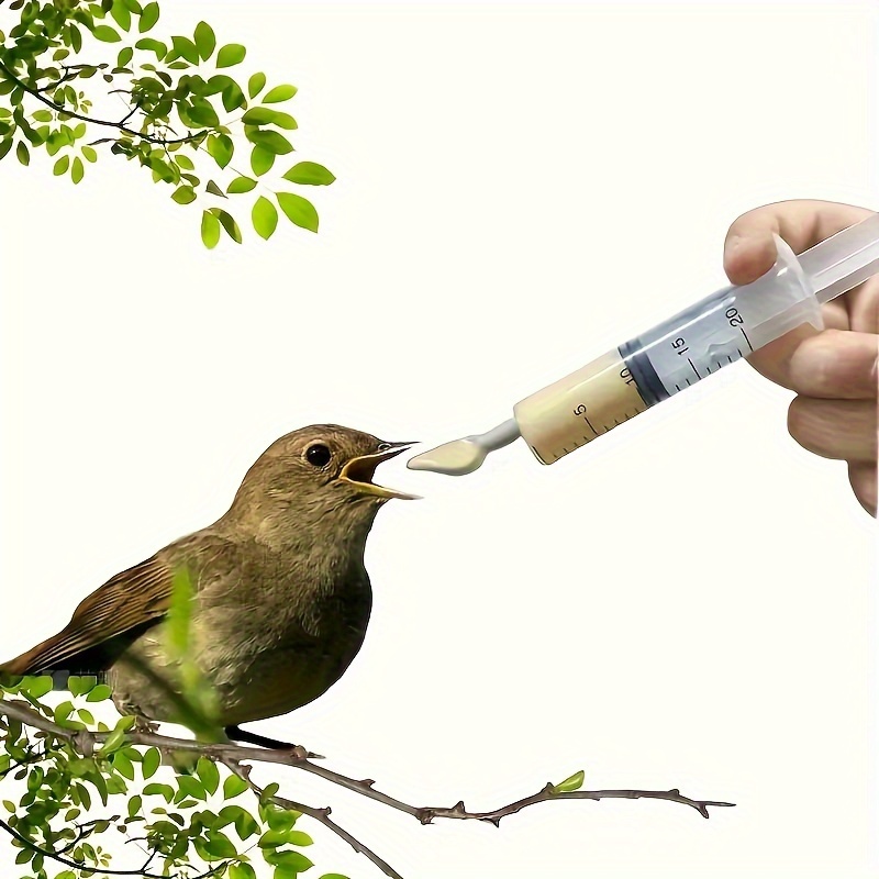 bird feeding needles graduated needle feeders parrots chick - Temu