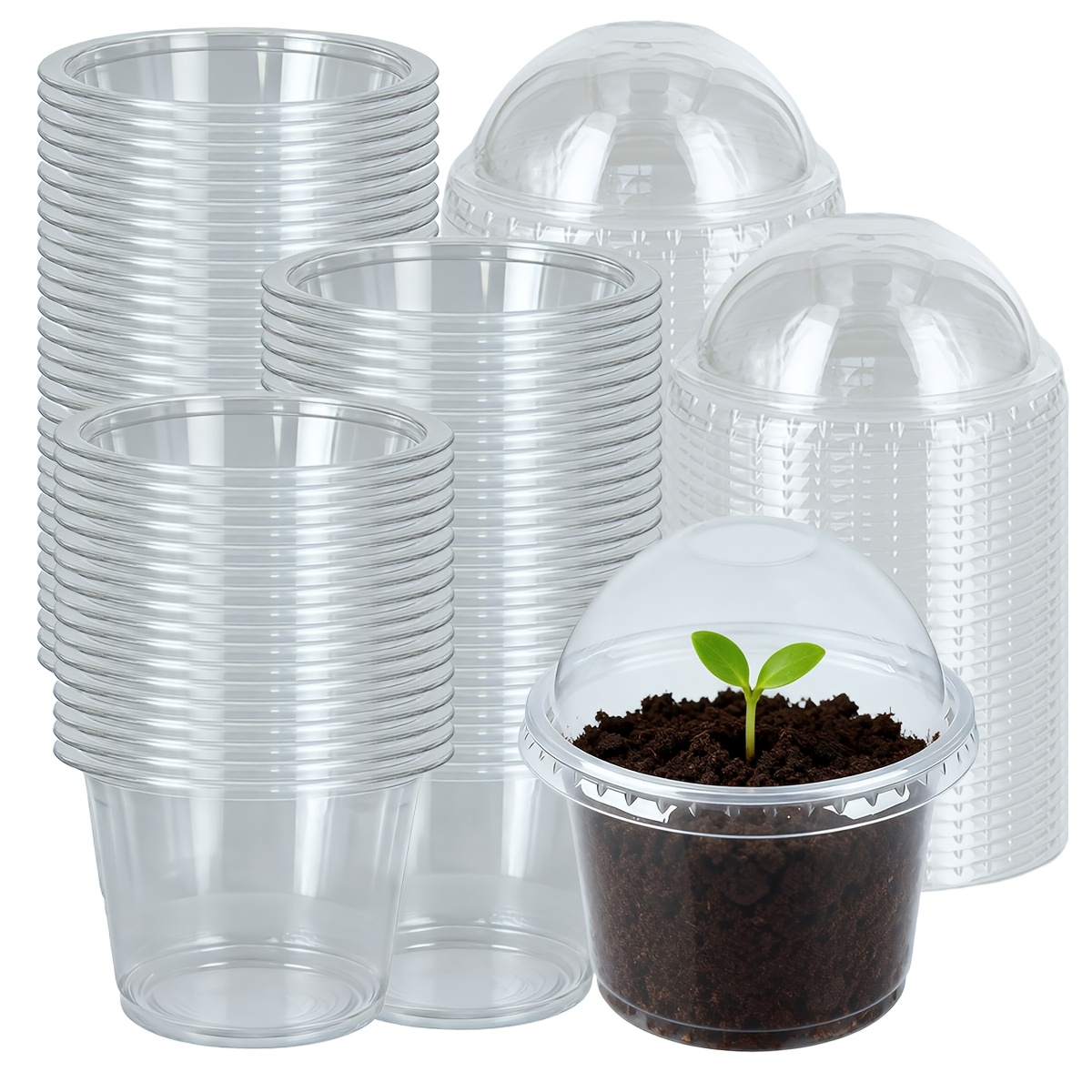 plant kit sold on Temu United States