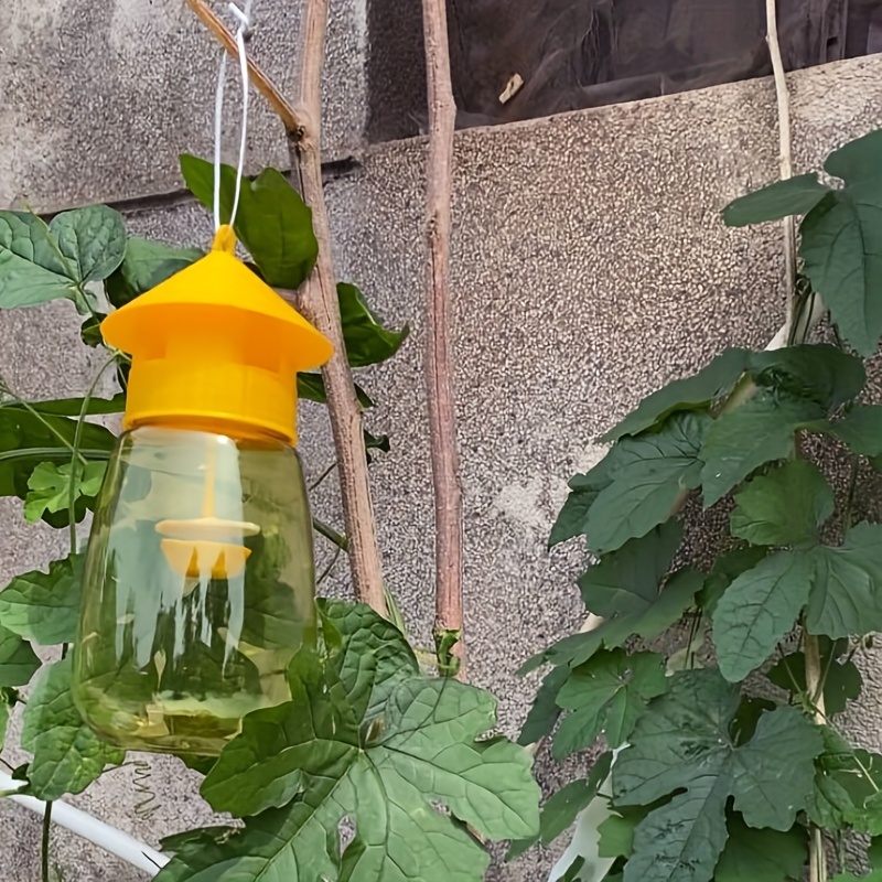 Garden Fruit Vegetable Fruit Fly Needle Wasp Trap Fruit - Temu