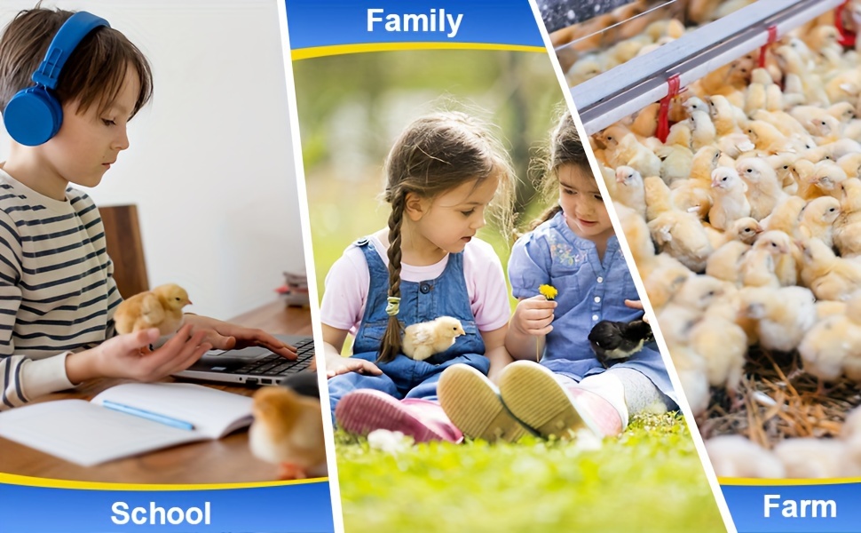 Egg Incubator, 48 Egg Incubator, Digital Incubators For Hatching Eggs ...