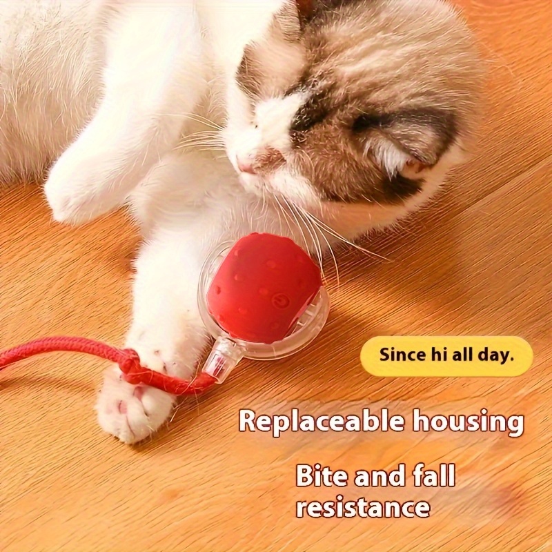 pets products sold on Temu United States