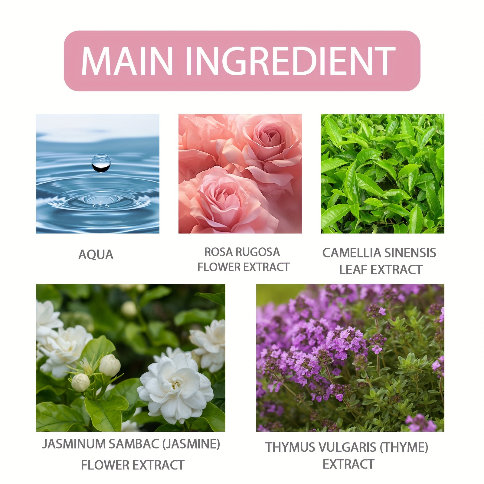 Elegant Rose Scented Perfume Women Long lasting Alcohol free - Temu