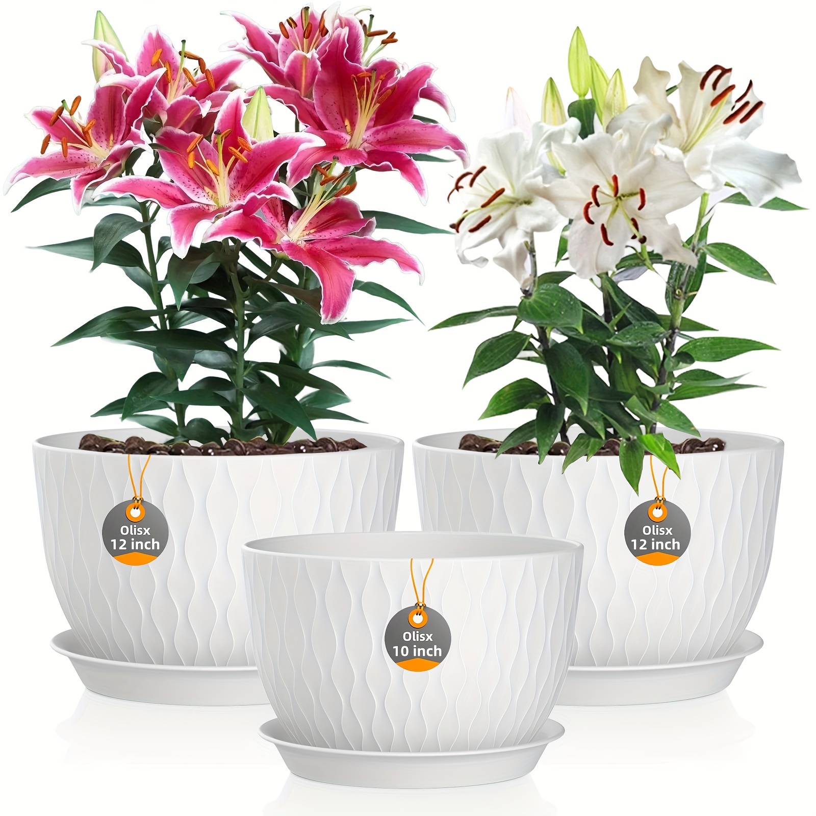 large planters pots sold on Temu Malaysia