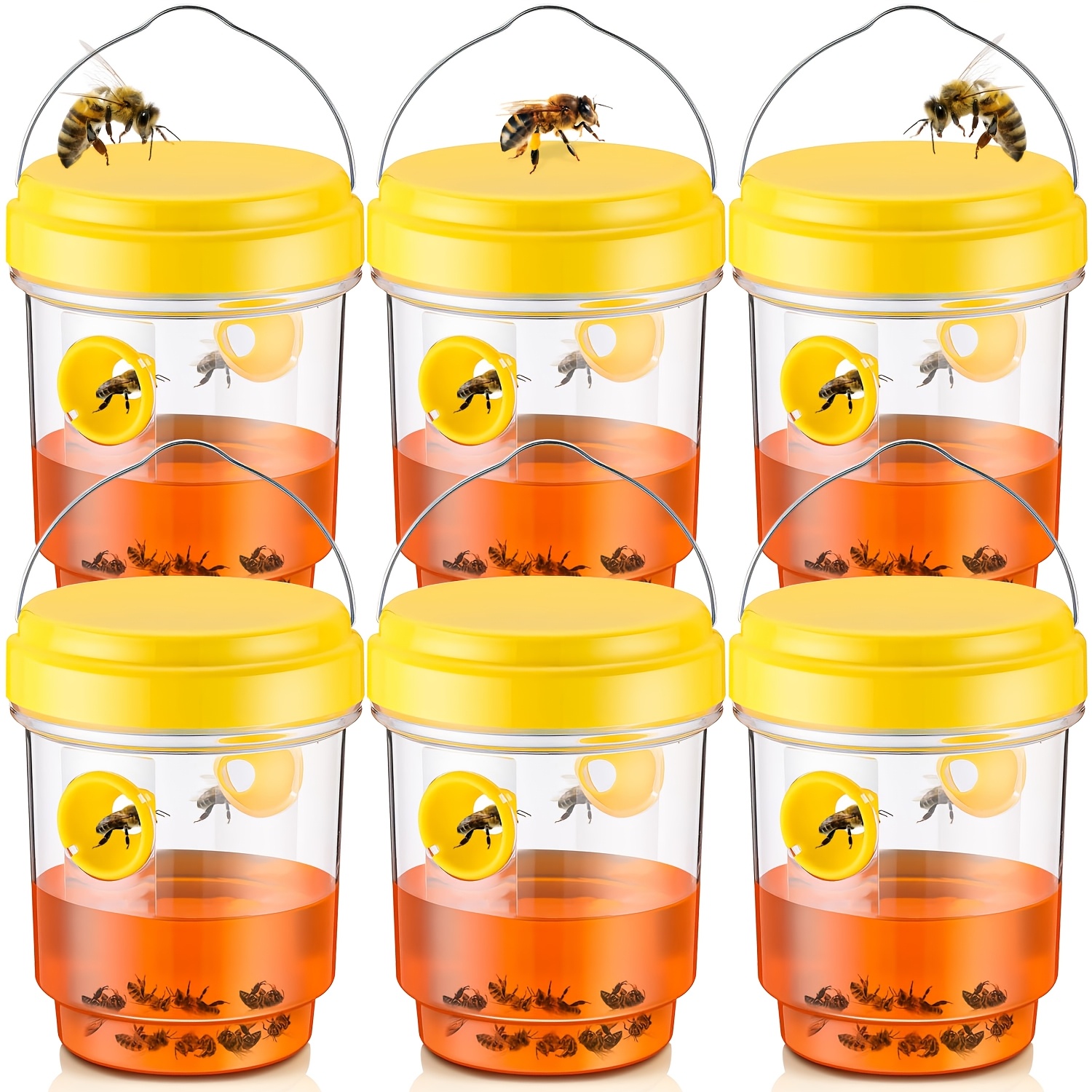 bee traps - United Kingdom