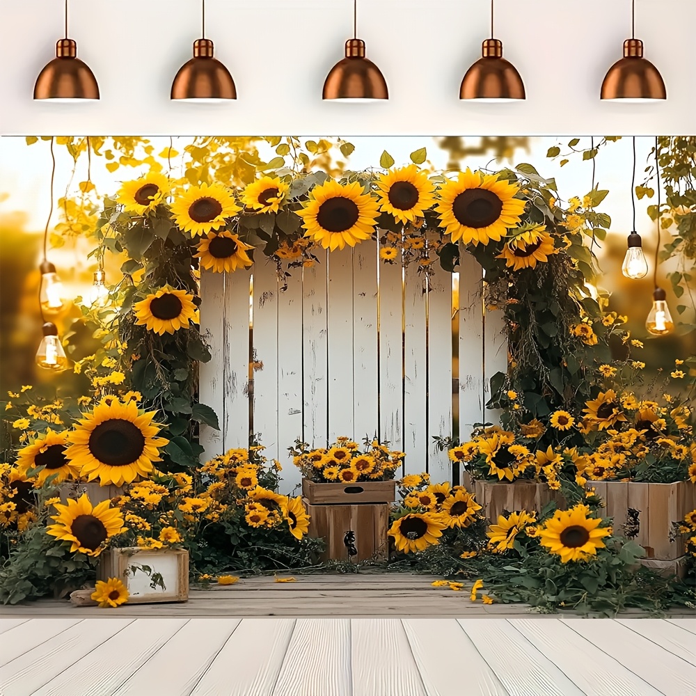 backdrops sold on Temu United States