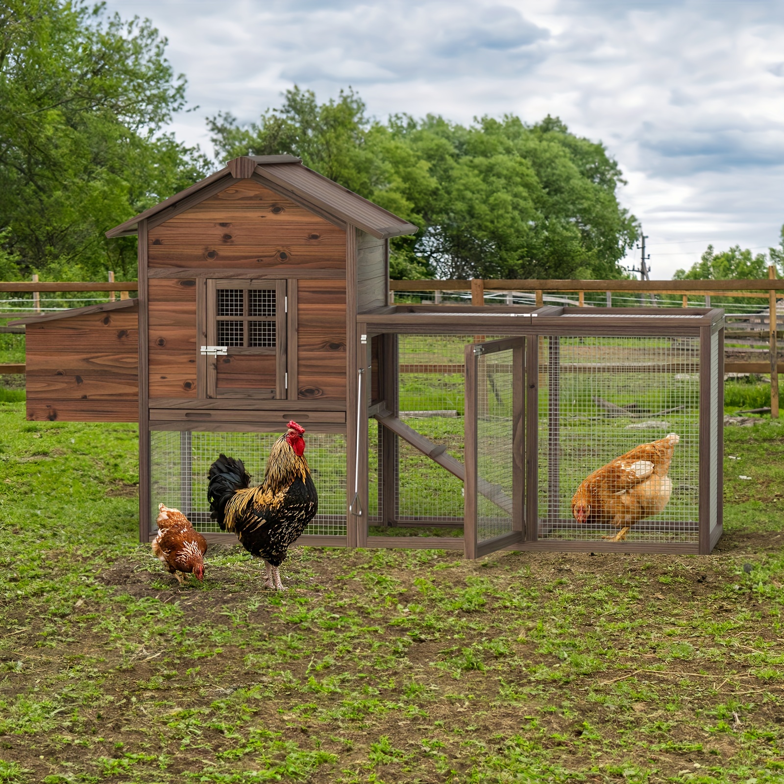 chicken coop sold on Temu United States