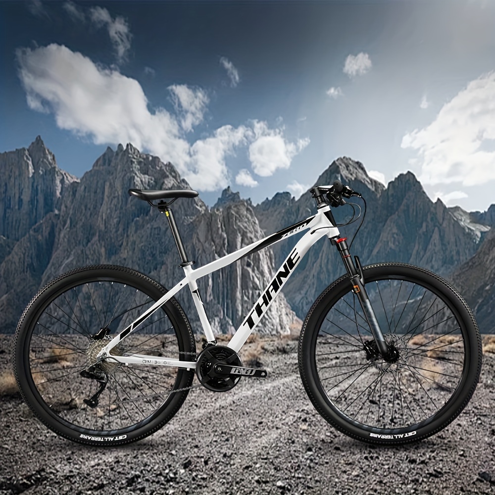 bikes bicycles sold on Temu United States