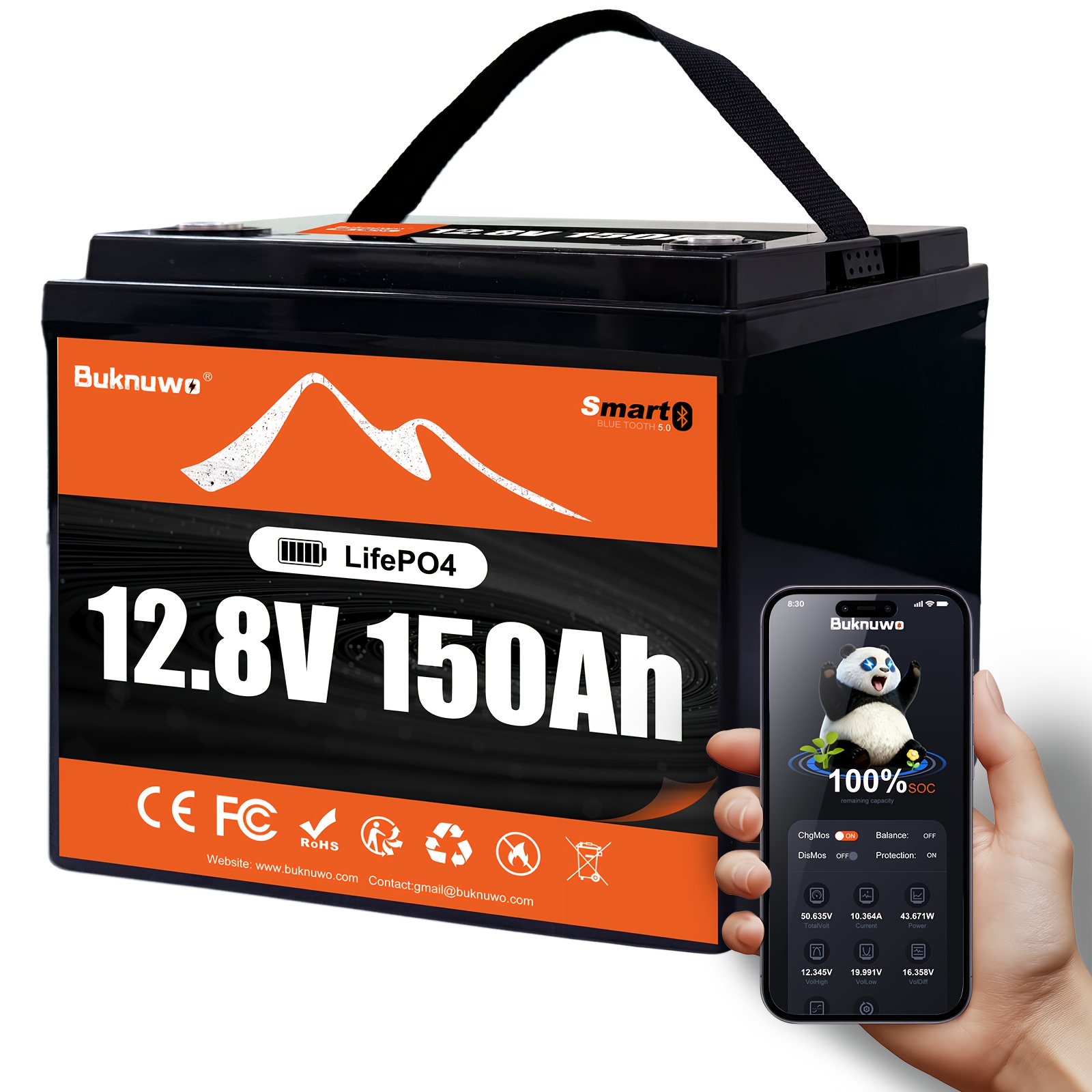 lithium batteries sold on Temu United States