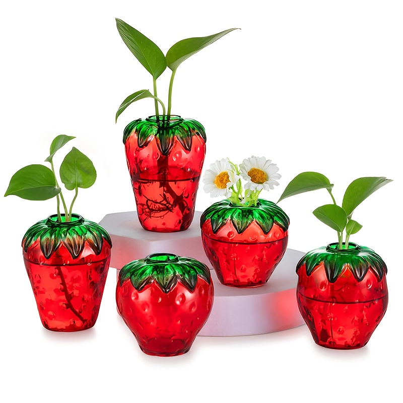 propagation vases sold on Temu Australia