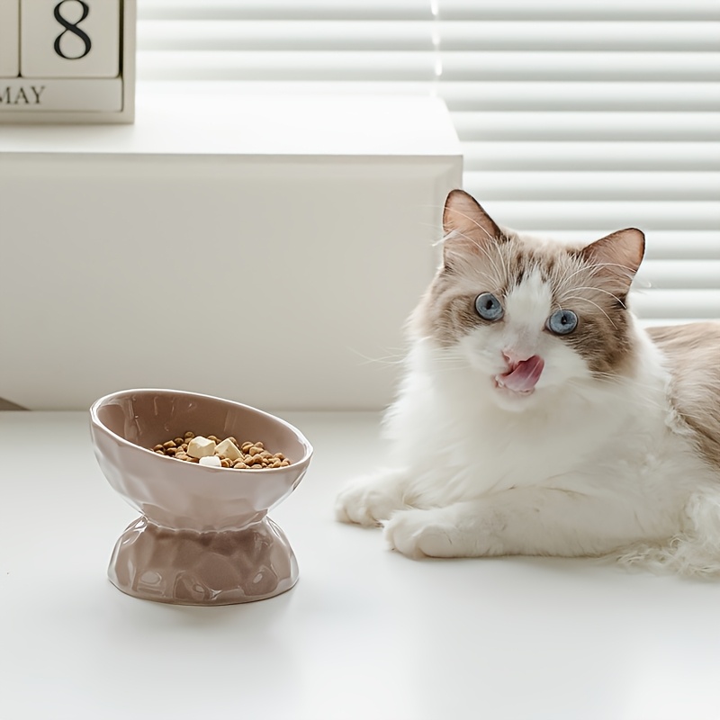 cat bowls sold on Temu United States