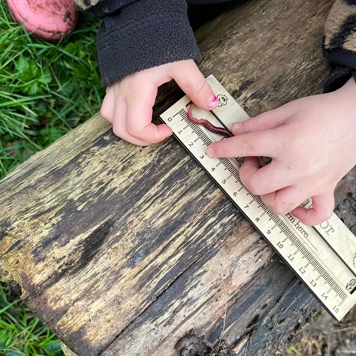 Wooden Worm Calculator Ruler: Perfect Measuring Insects - Temu