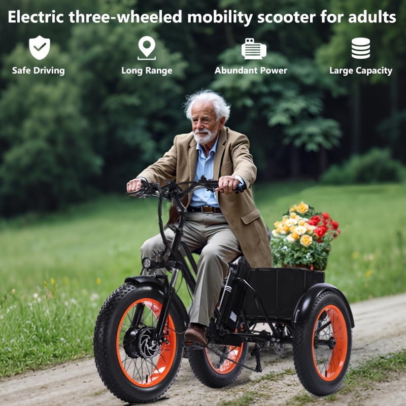 electric adult tricycle sold on Temu United States