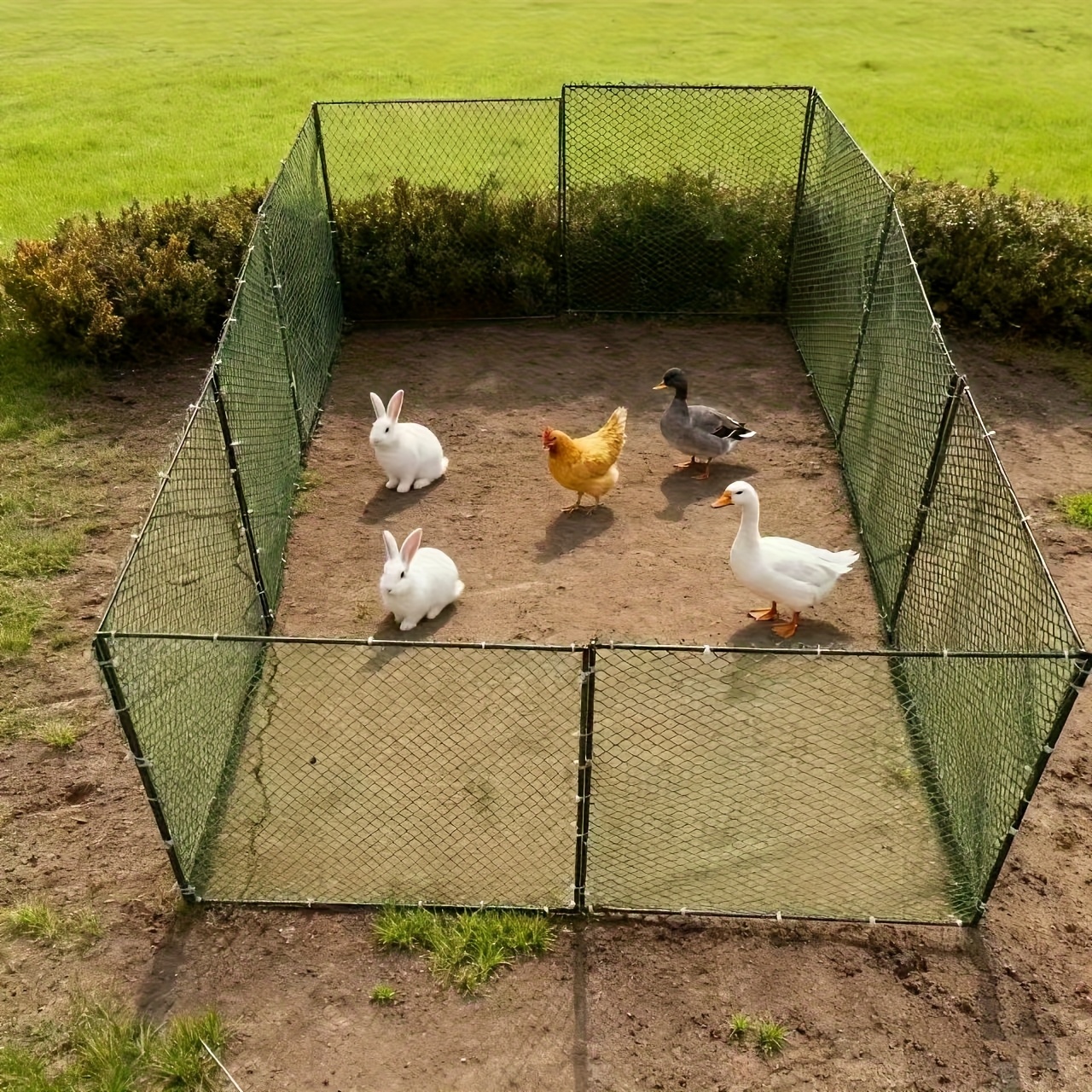 rabbit cages outdoor - Nigeria