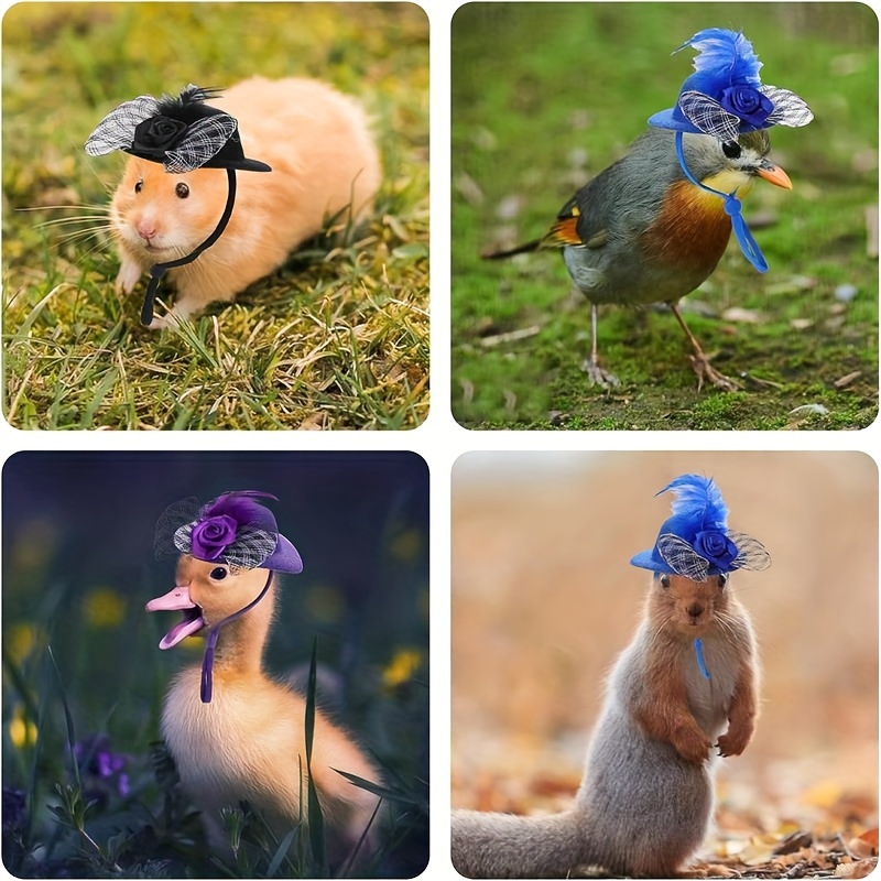Chicken Hats Hen Mini Hat Chicken Helmet Accessories Funny - Temu ...