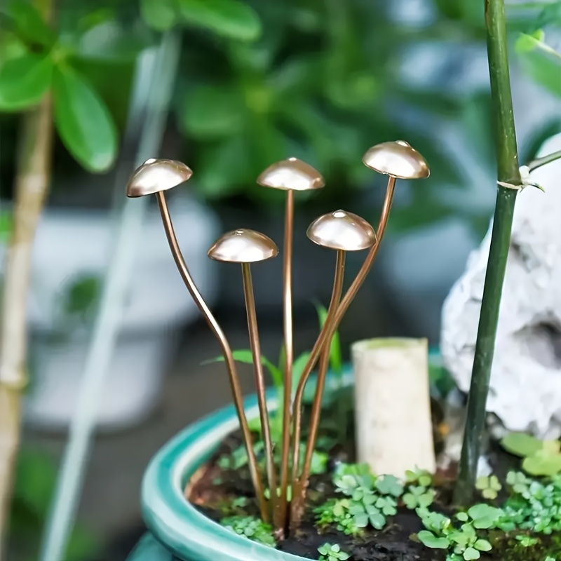 bonsai set - Temu Deutschland
