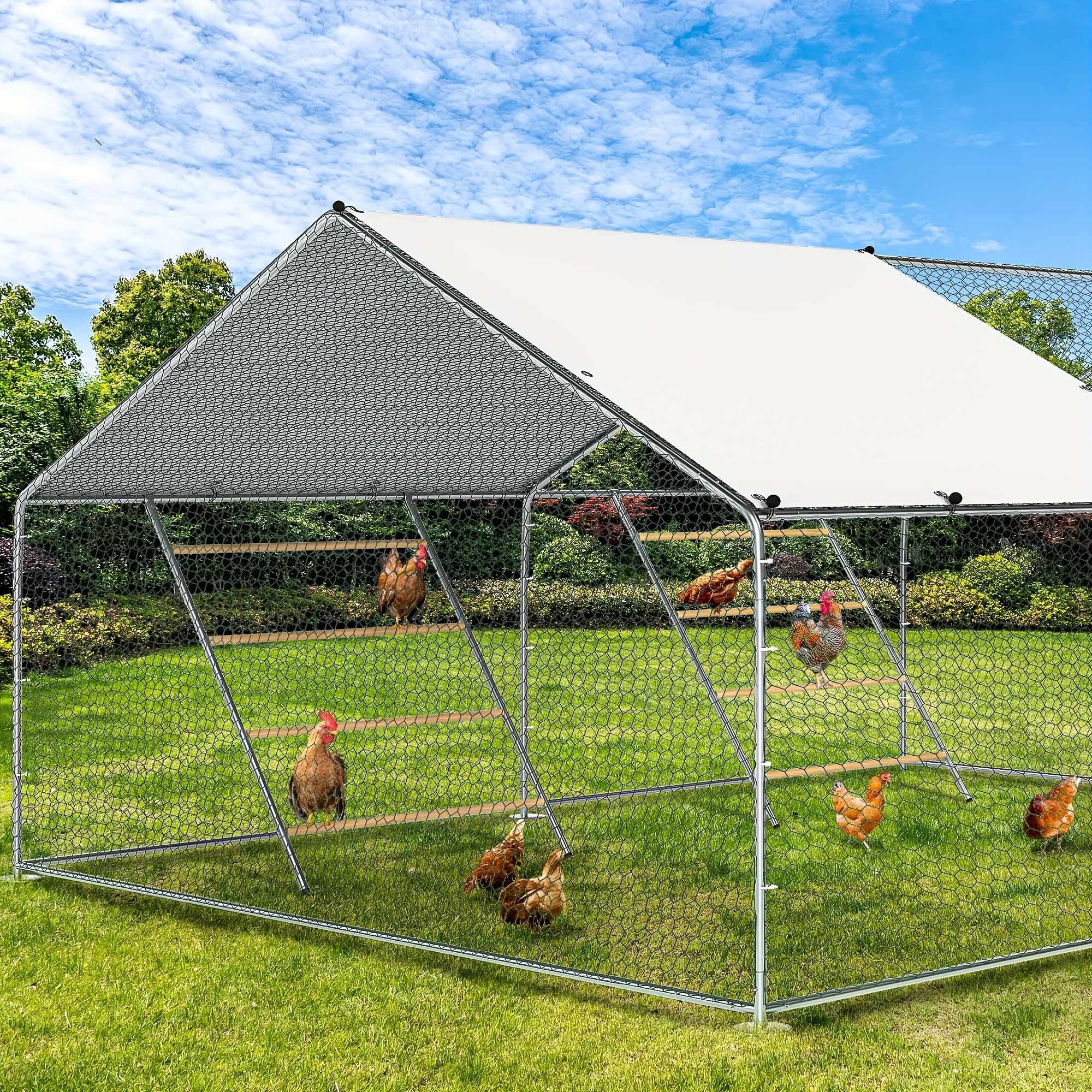chicken coop sold on Temu United States