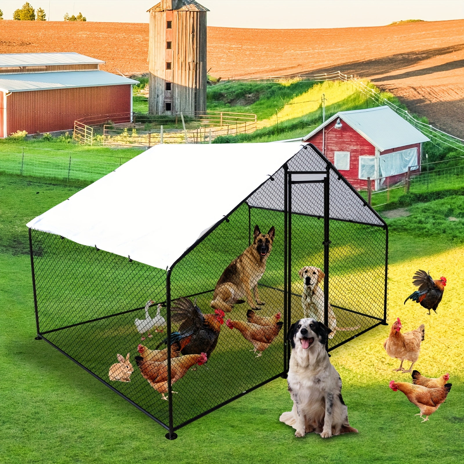 chicken coop sold on Temu United States