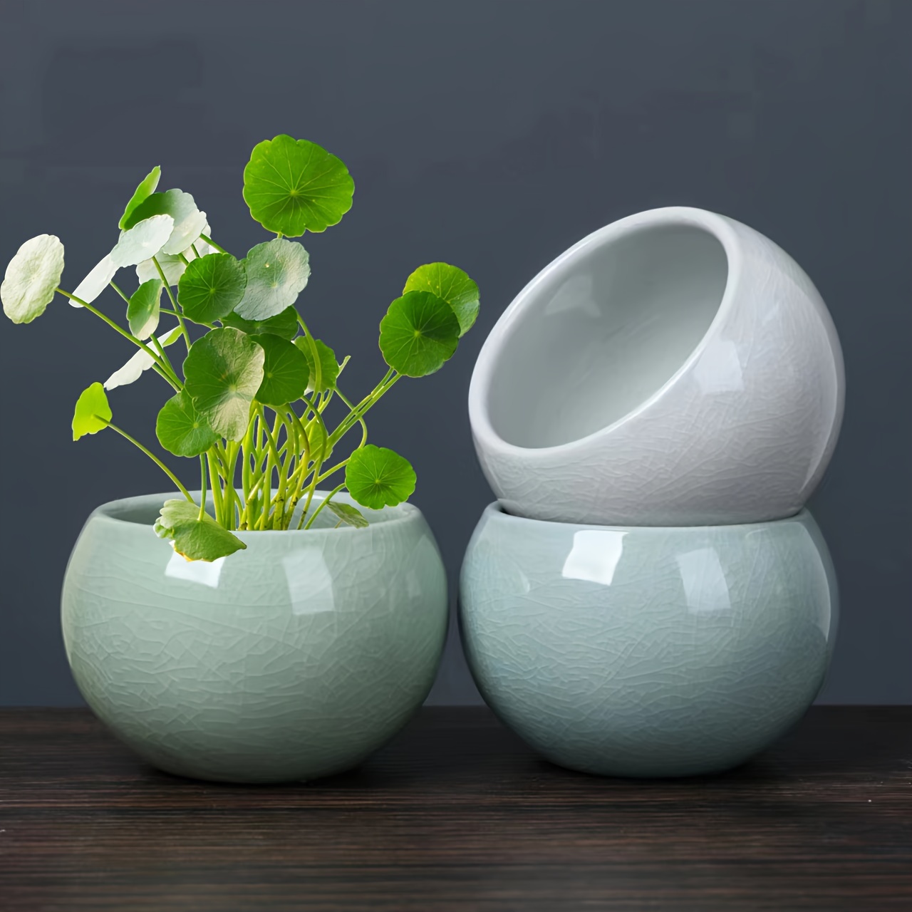 planter pots sold on Temu United States
