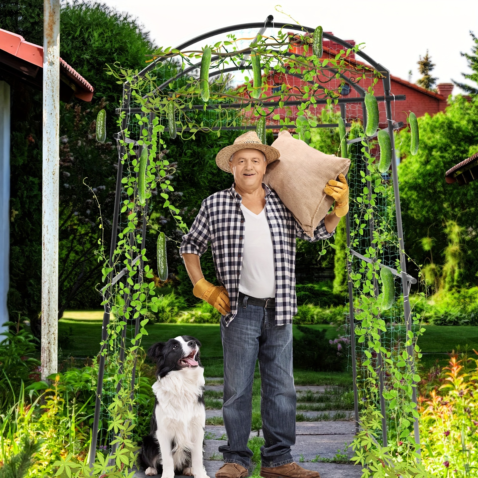 Tall Garden Arch Trellis Climbing Plants Outdoor Metal - Temu