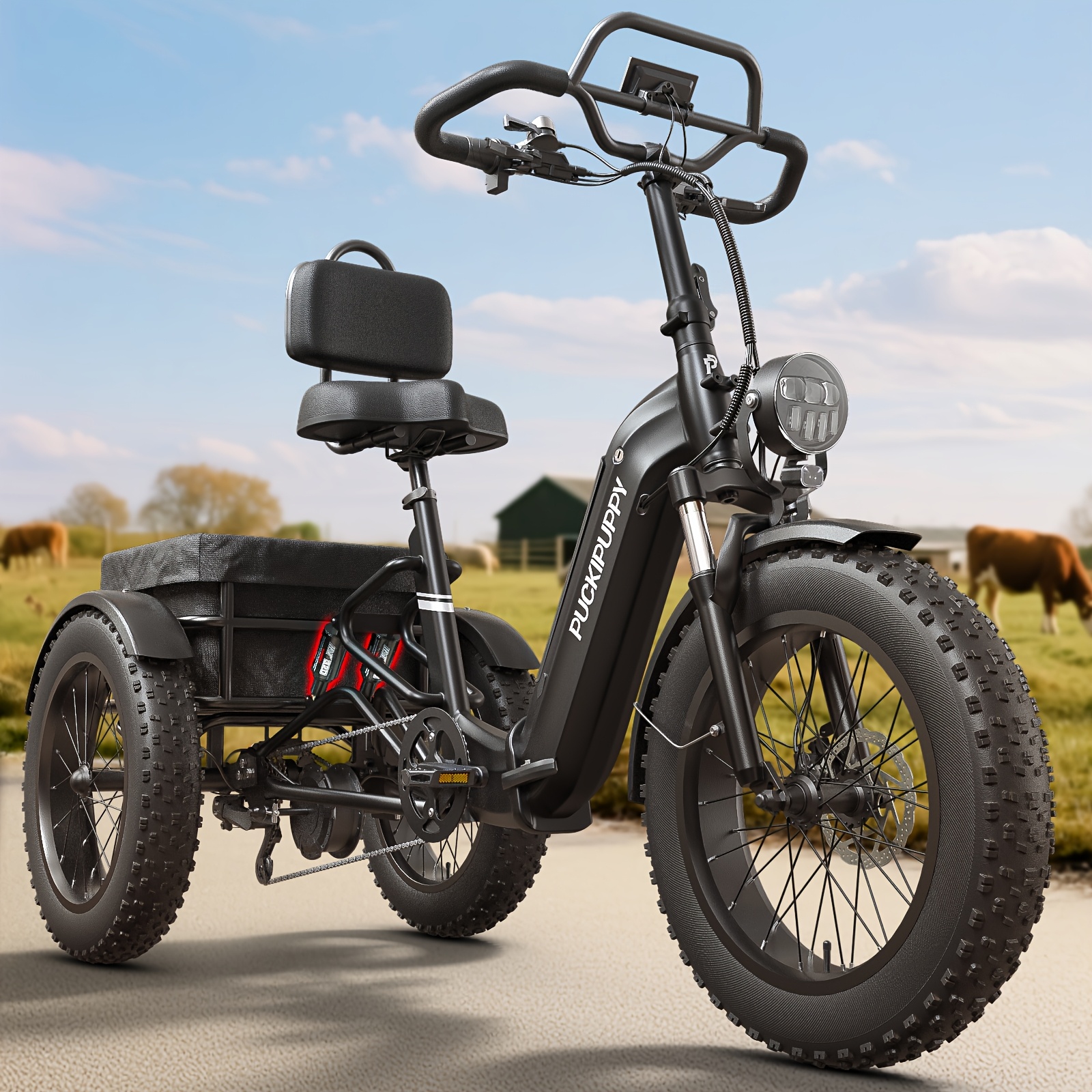 electric adult tricycle sold on Temu United States