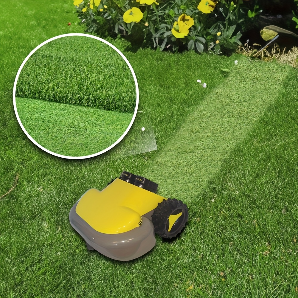 lawn mowers sold on Temu United States