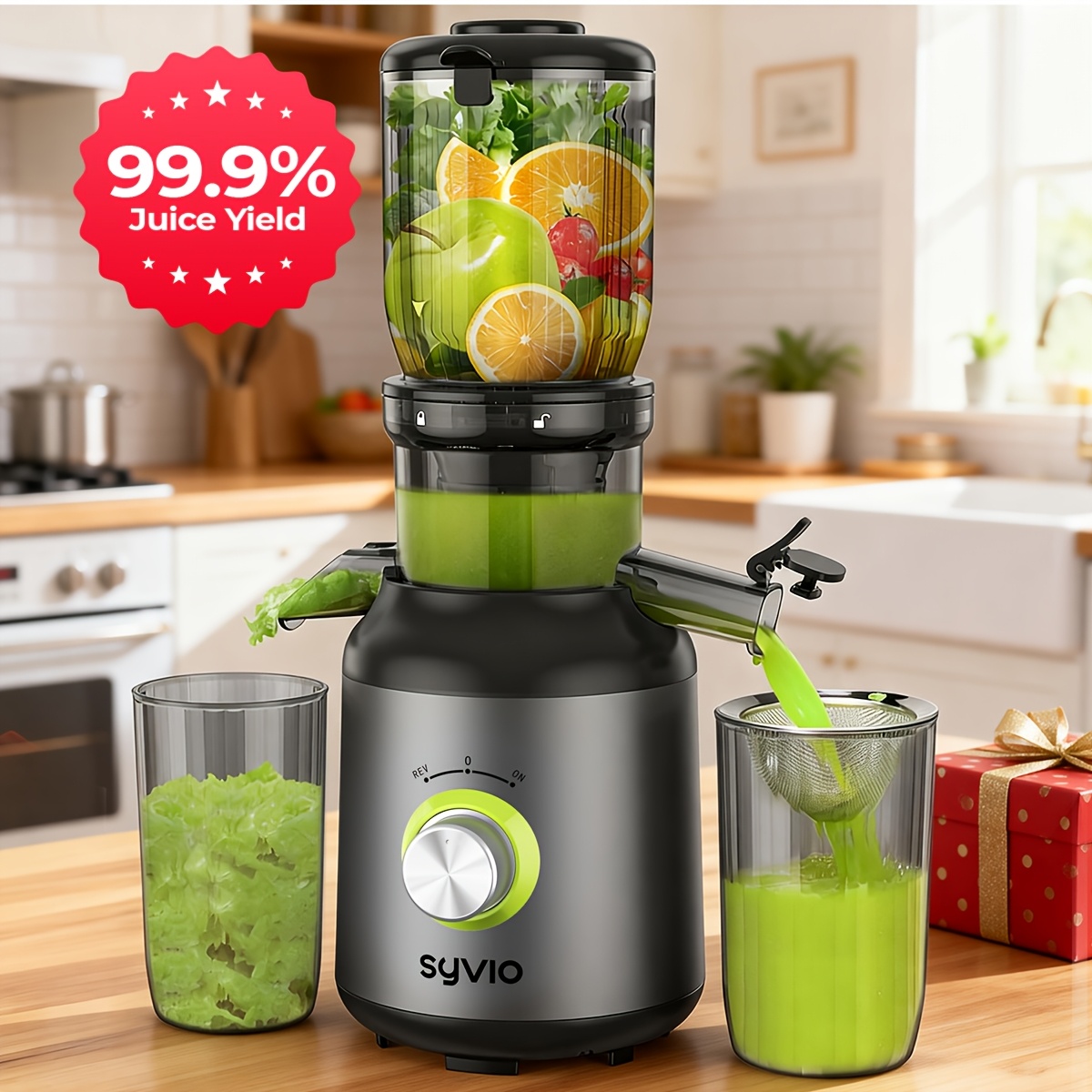 juicer machine sold on Temu United States