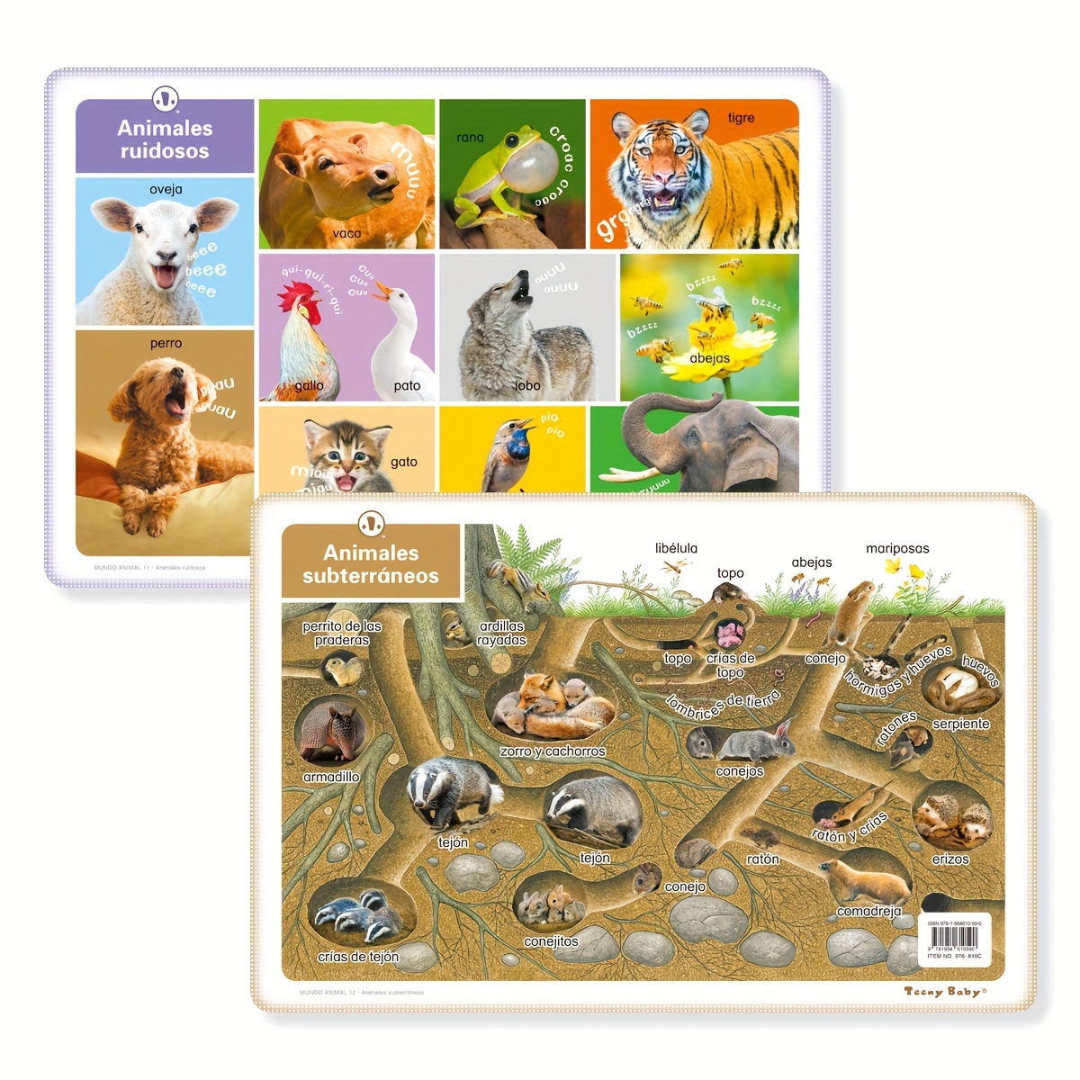 Children's Wall Charts Early Childhood Education 12 Animal - Temu