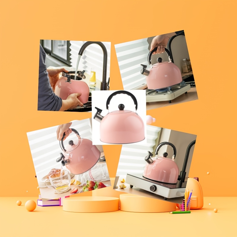 whistle kettle sold on Temu United States
