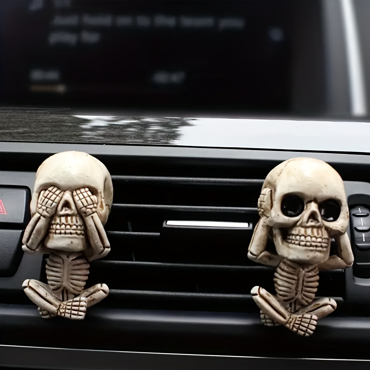 Skull car accessories store