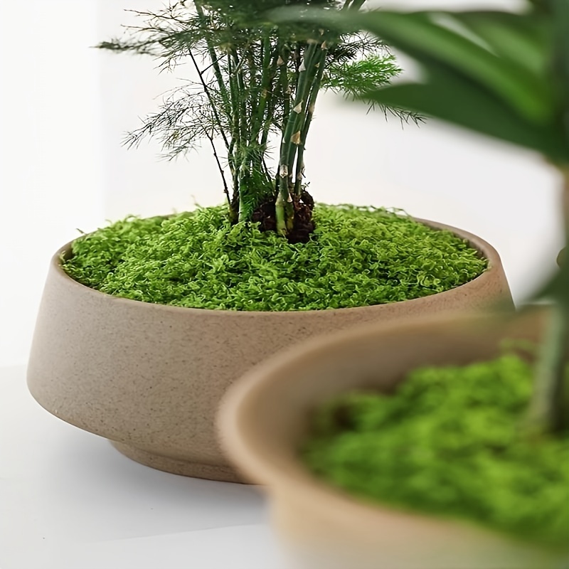 Classic Style Artificial Moss Decoration Plastic Greenery - Temu