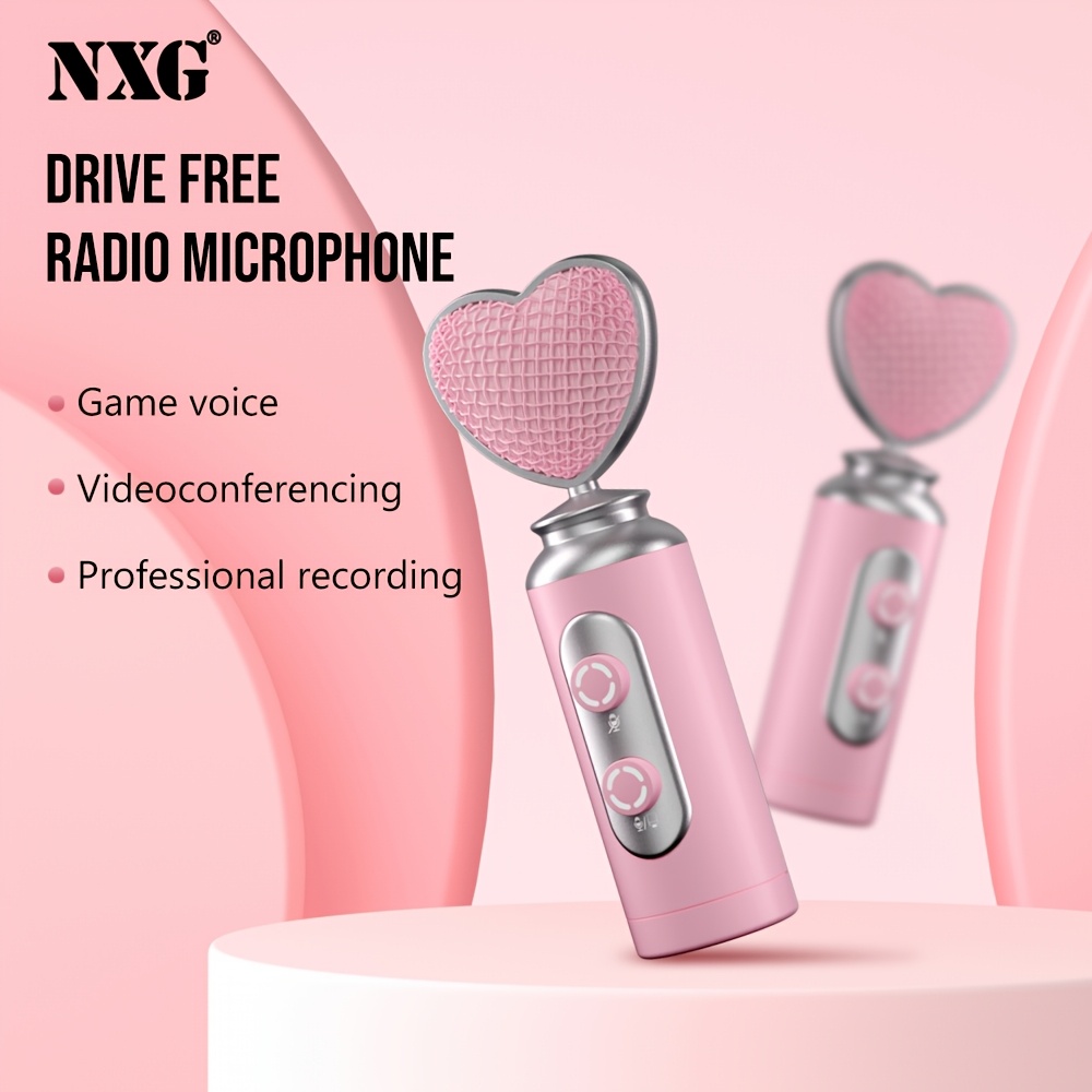 microphone sold on Temu United States