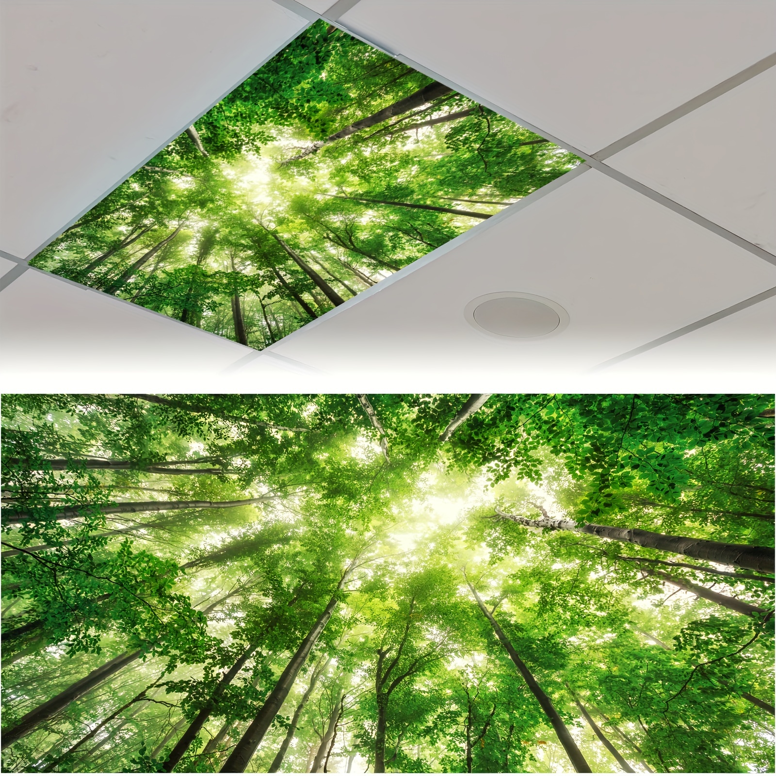 Fluorescent Light Wraps