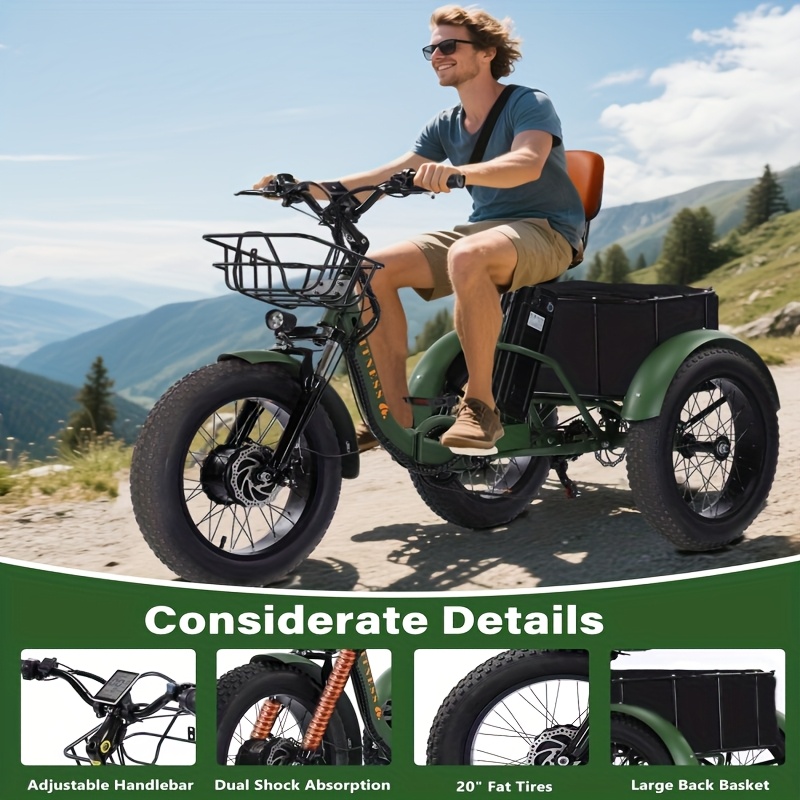 electric adult tricycle sold on Temu United States