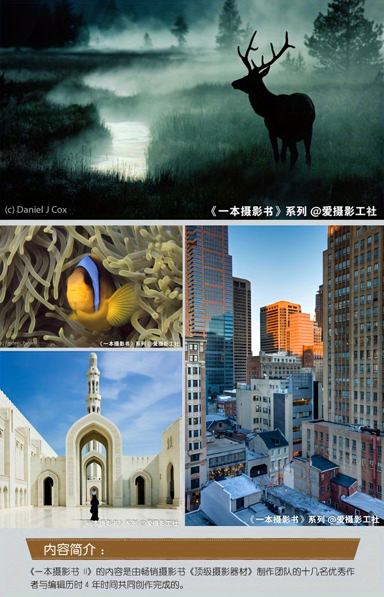 A Photography Book Ii (full Color) Paper Introduces Advanced - Temu ...