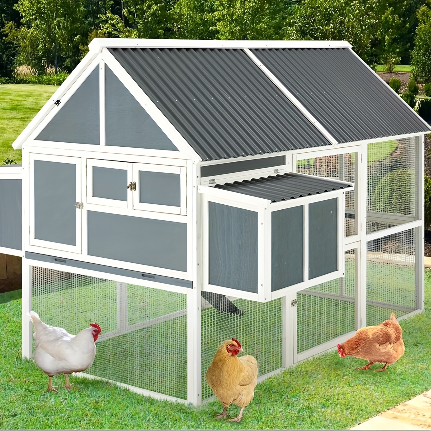 chicken coop sold on Temu United States