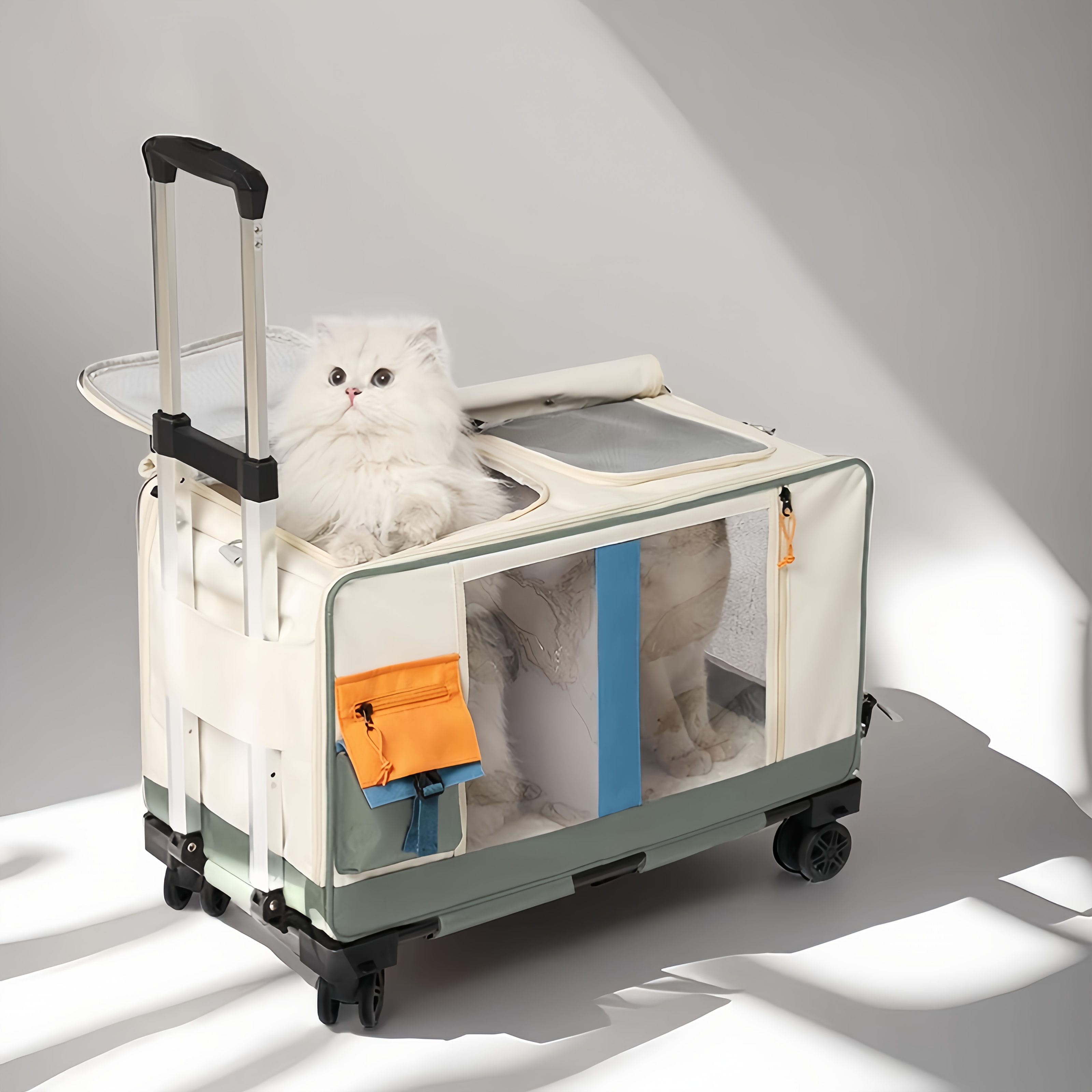 dog suitcase - Ghana