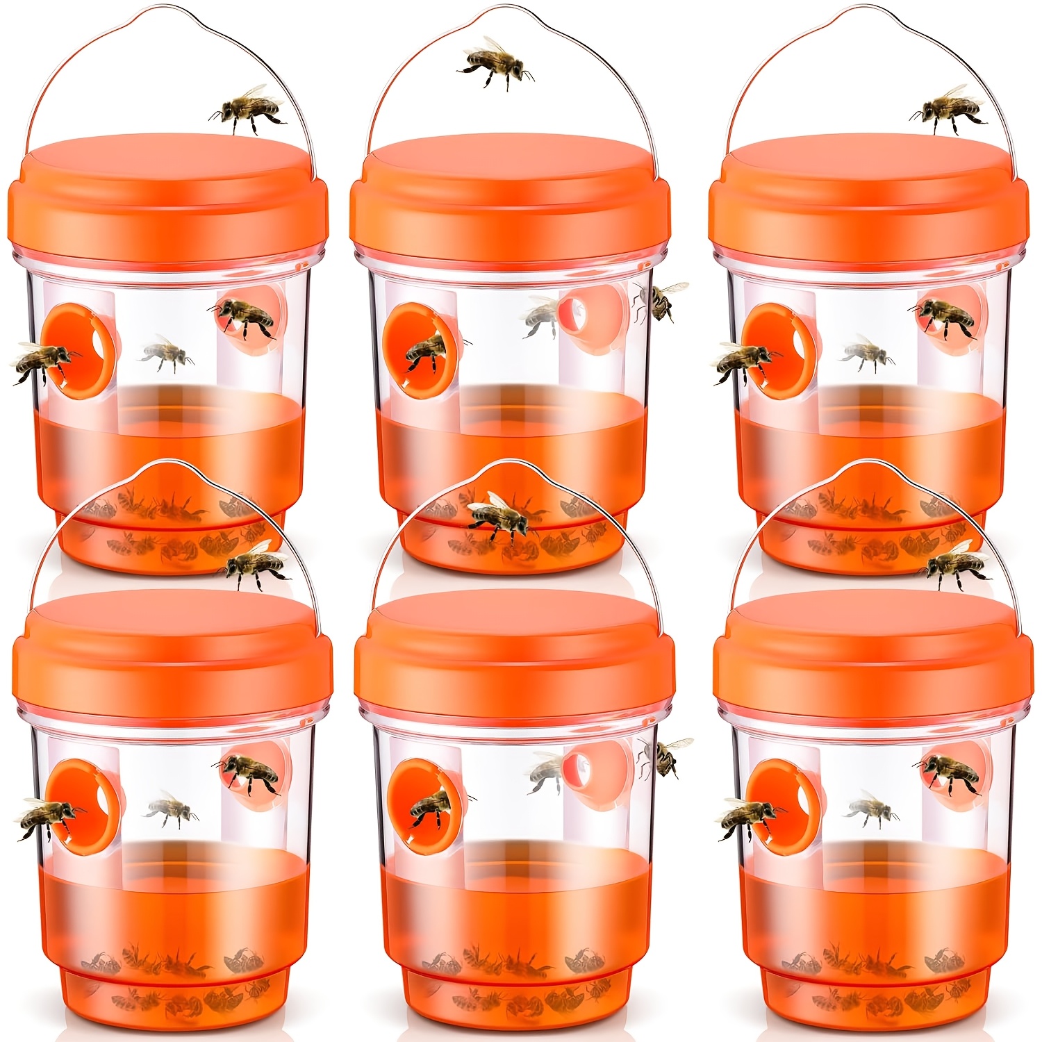 bee traps - United Kingdom