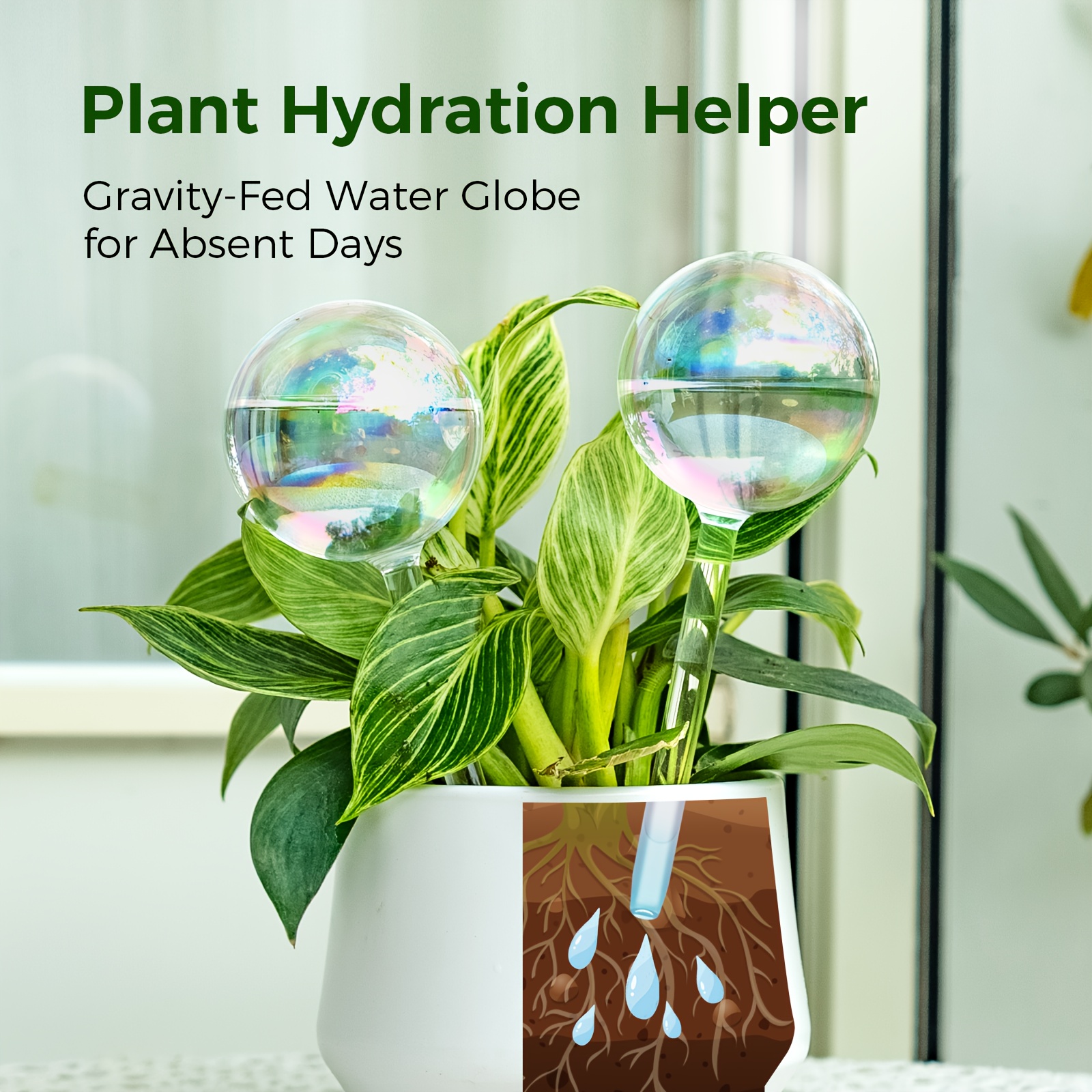 plant watering devices sold on Temu United States