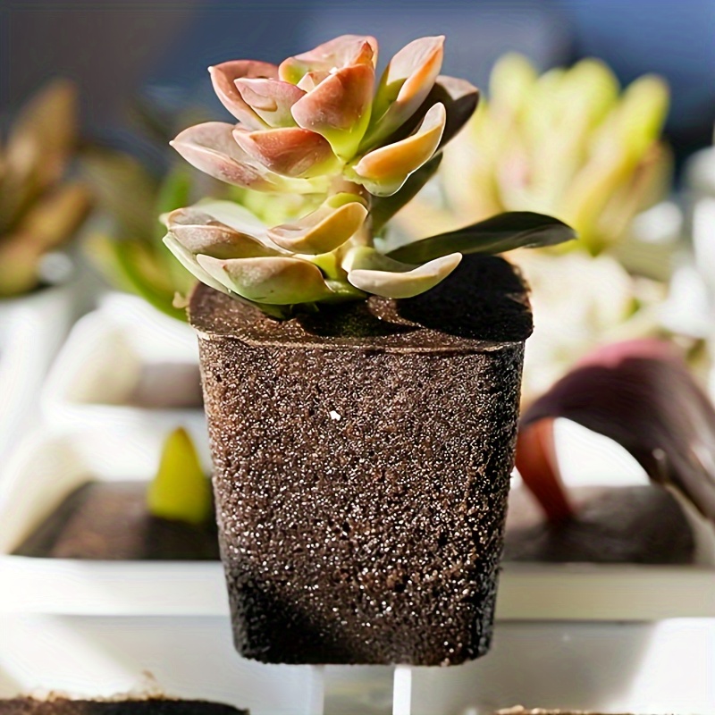 Seed Starter Plugs Fast Rooting Planting Plugs Plant Starter - Temu Canada