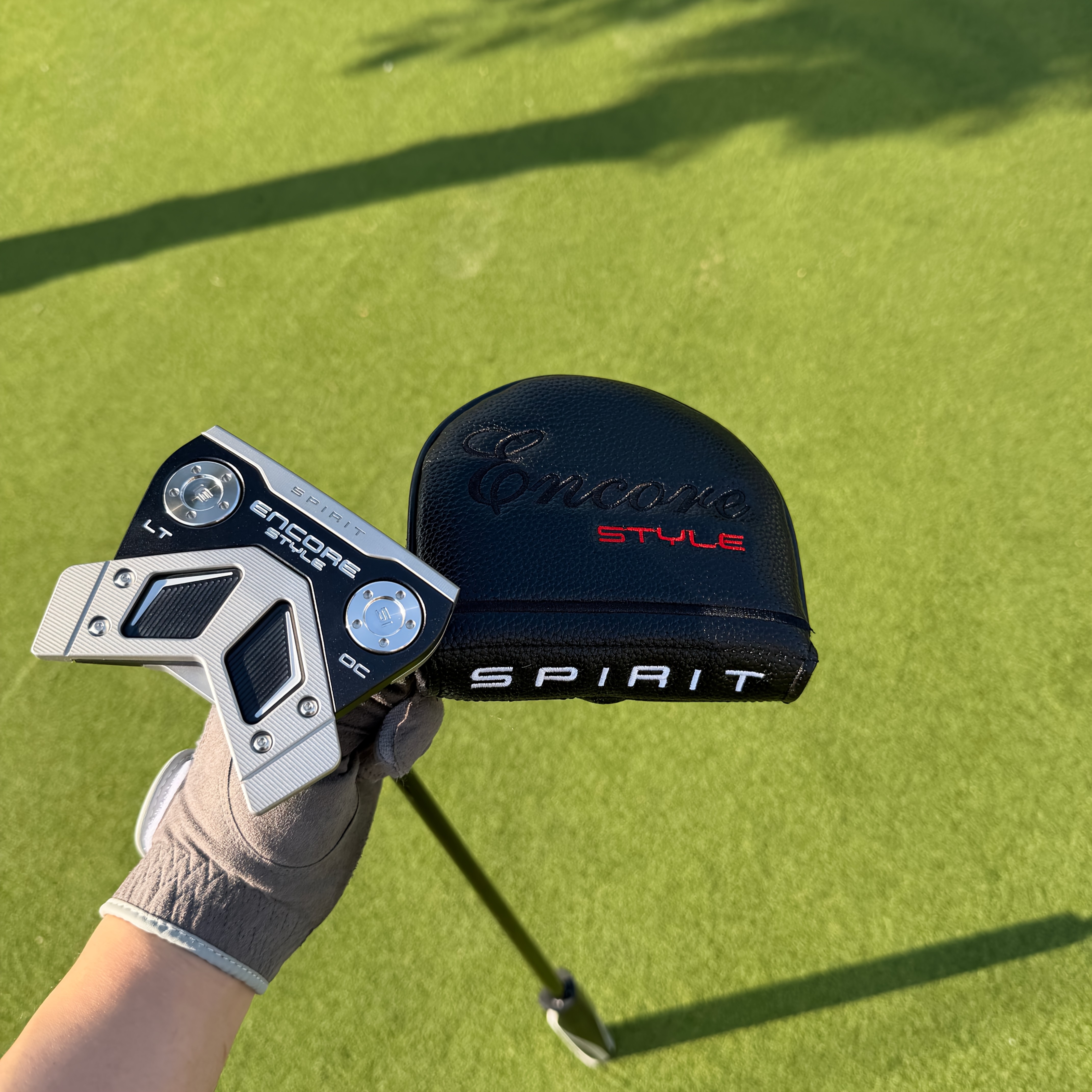 golf putters sold on Temu United States
