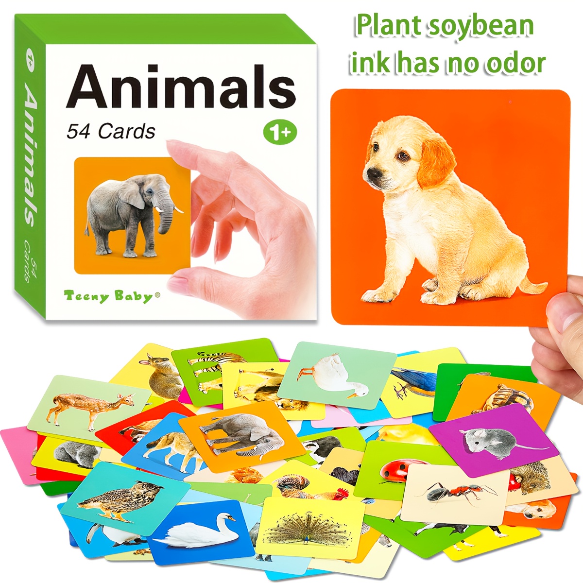 Flashcards For Toddlers 34PC Season Learning Flash Cards For Kids ...