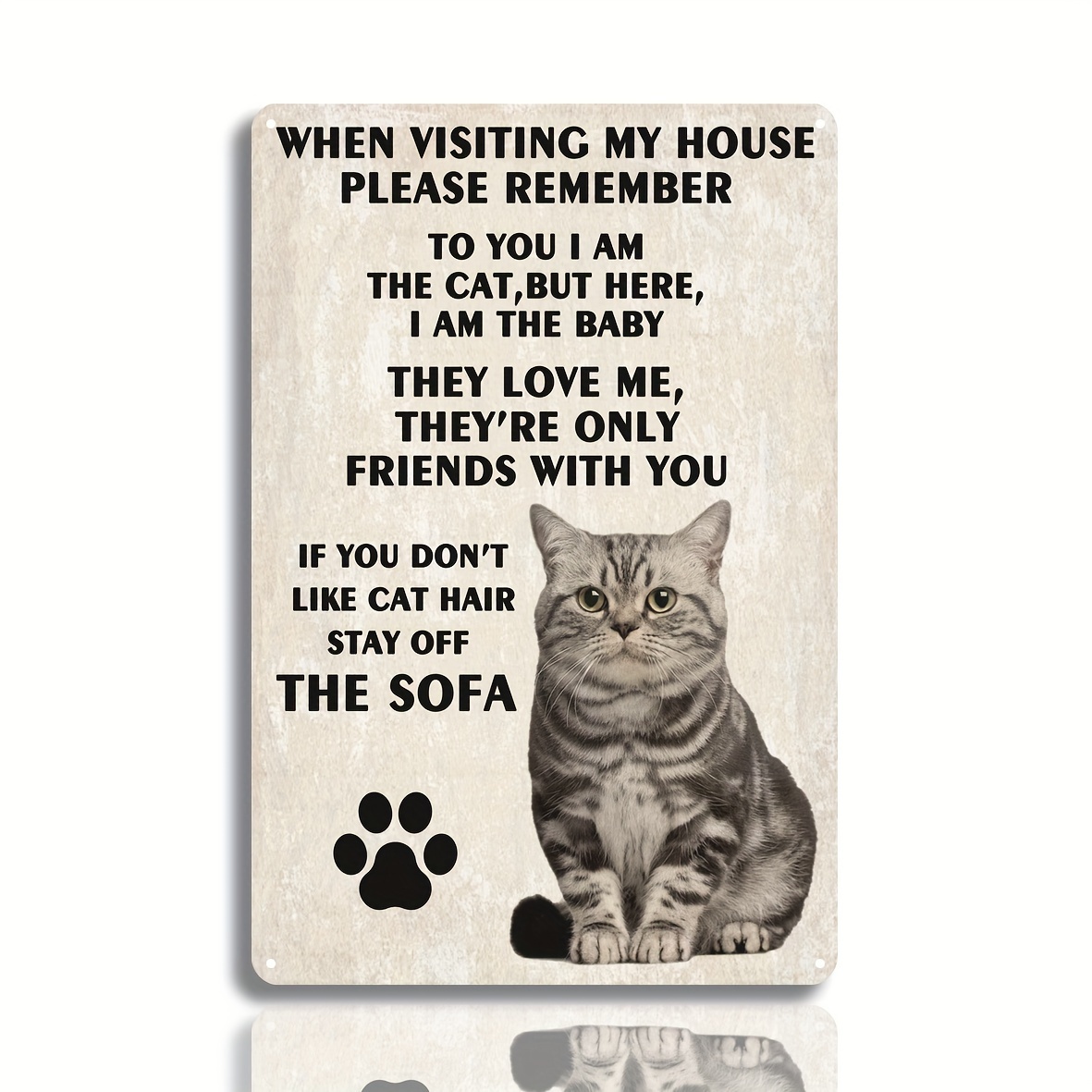 Retro Metal Aluminum Sign Funny Cat Rule Tin Sign Wall Art - Temu ...