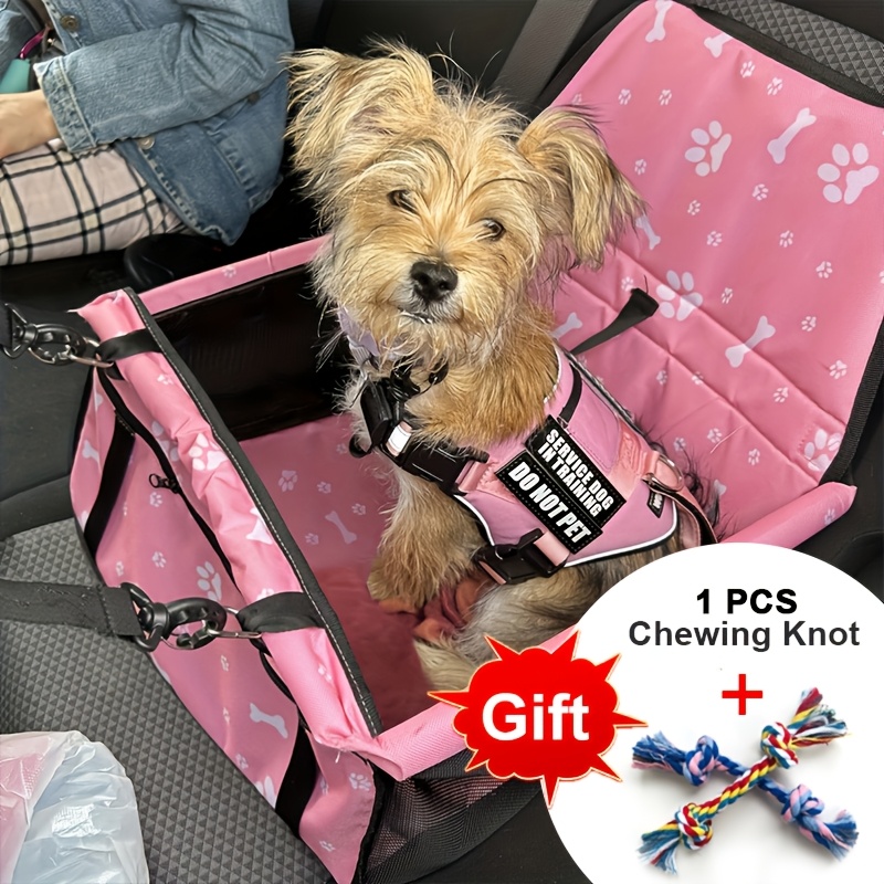dog supplies and accessories sold on Temu United States