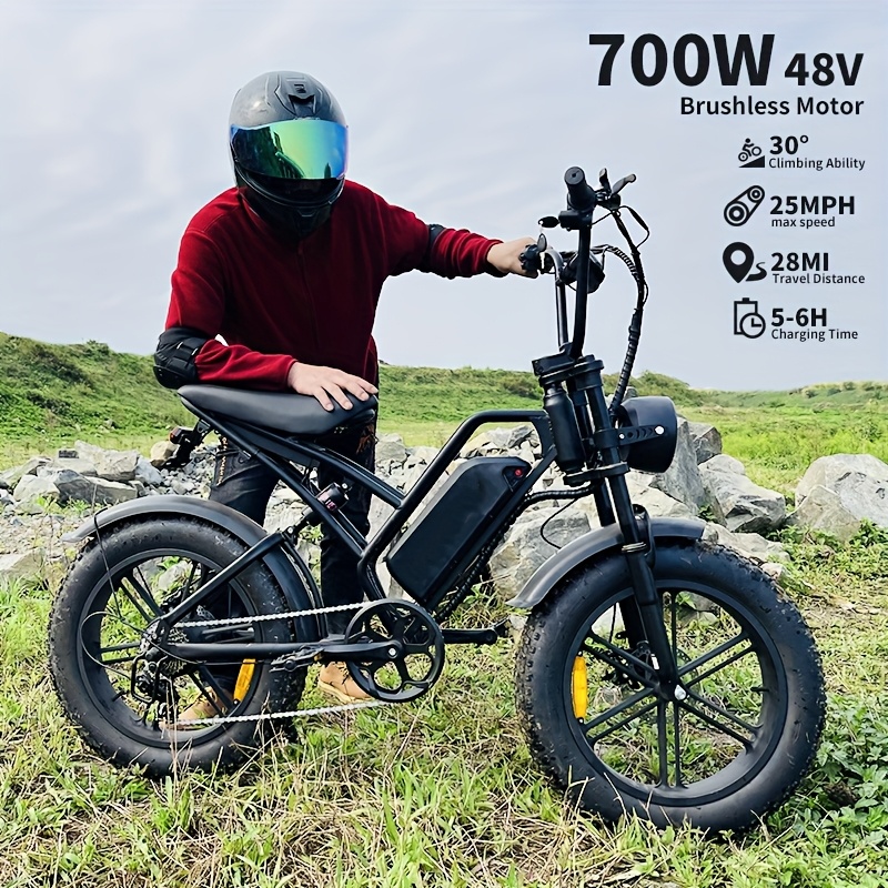 electric bike sold on Temu United States